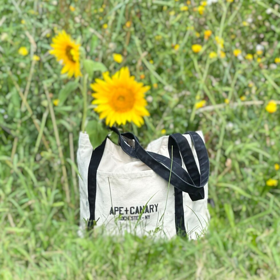 Promos - Ape & Canary